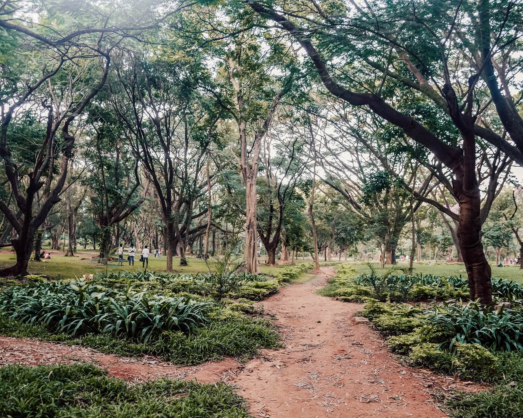 One Day in Bangalore - What to See in a Short Time - World of Lina