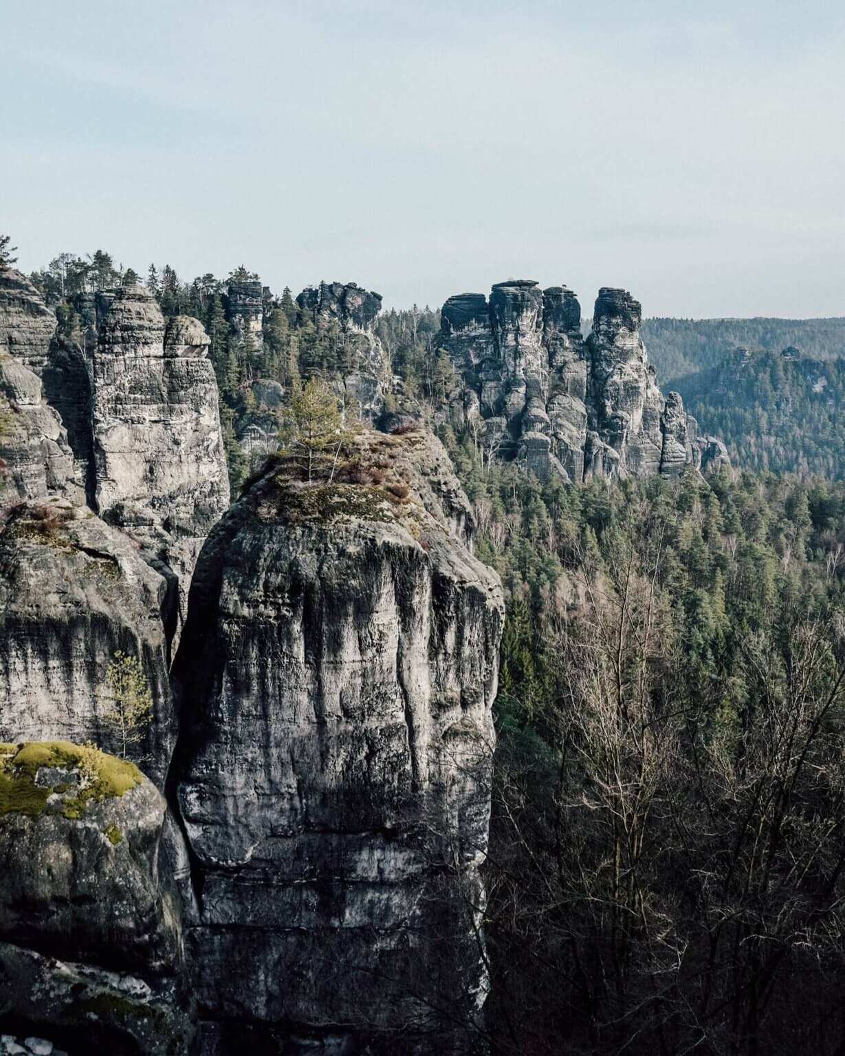 Your Perfect Guide to Visiting The Bastei Bridge From Dresden - World ...