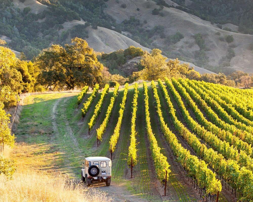 A Sustainable Travel Guide to Sonoma County, California - World of Lina