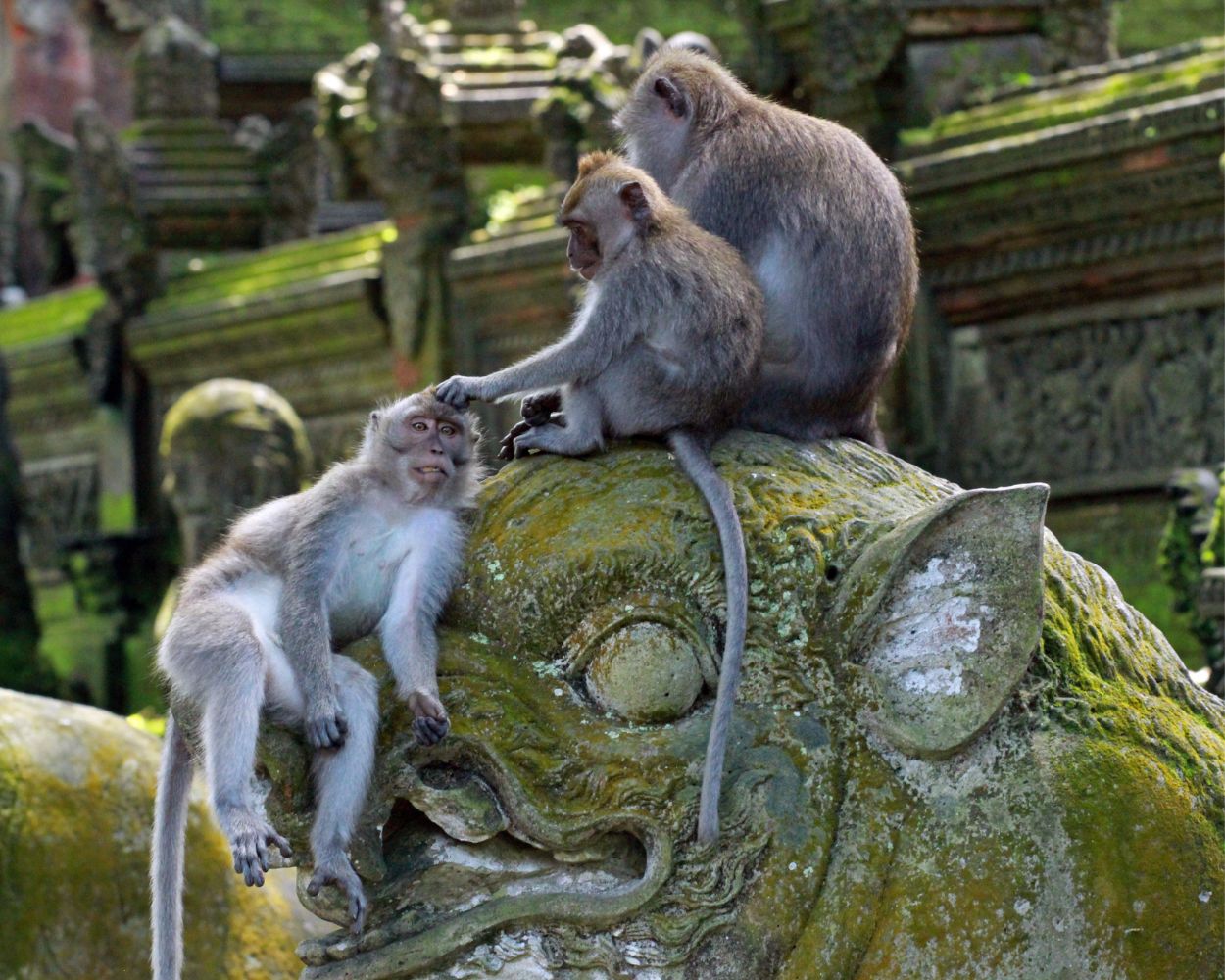 10 Best Places to Visit in Bali For First-Timers - World of Lina