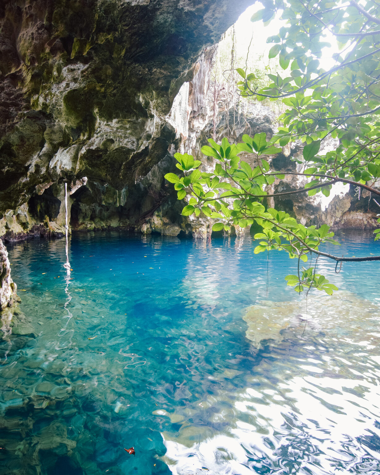 MAALUM, Paje - All You Need to Know For Your Visit - World of Lina
