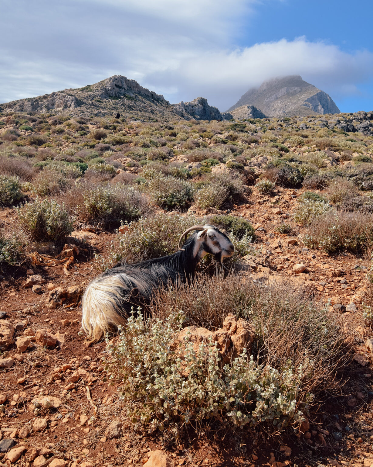 Northern Crete Travel Guide – What to See & Where to Stay - World of Lina