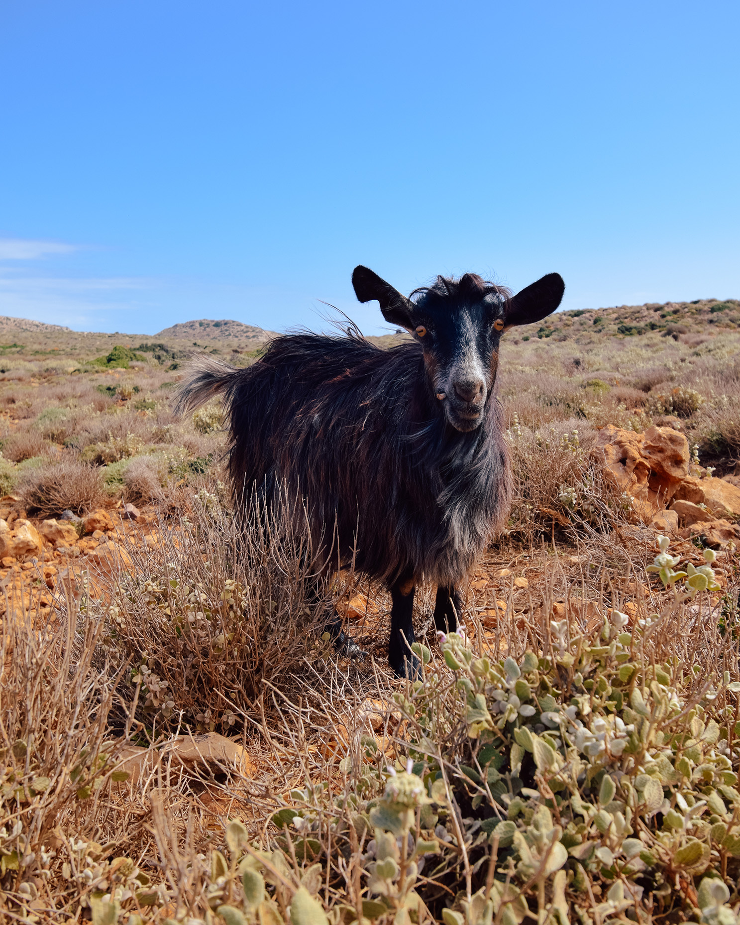 Northern Crete Travel Guide – What to See & Where to Stay - World of Lina